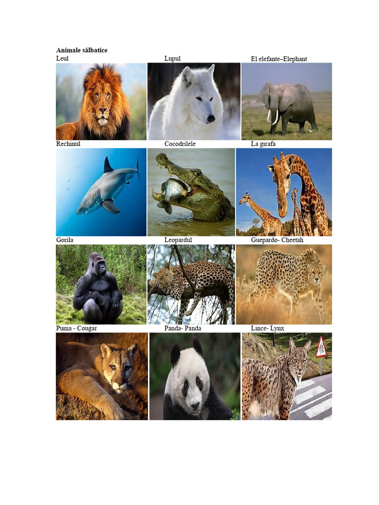 Animale Sălbatice | PDF