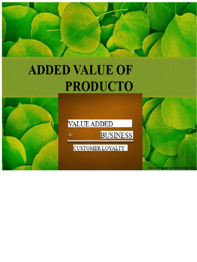 Added Value in Products Explained | PDF
