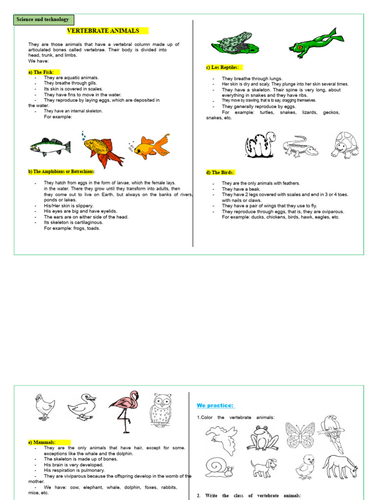 vertebrate animals | PDF | Amphibian | Reptile