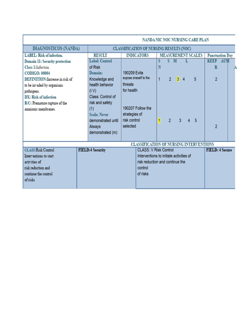 NURSING CARE PLAN NANDA NIC NOC NIC..infection - copy.docx | PDF ...