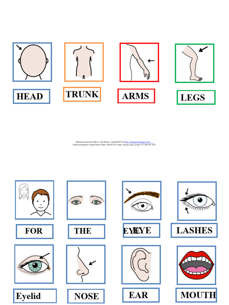 Body Parts Illustrated Pictograms | PDF