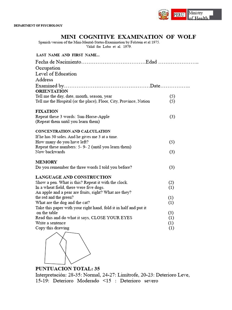 MINI COGNITIVE EXAMINATION OF WOLF | PDF