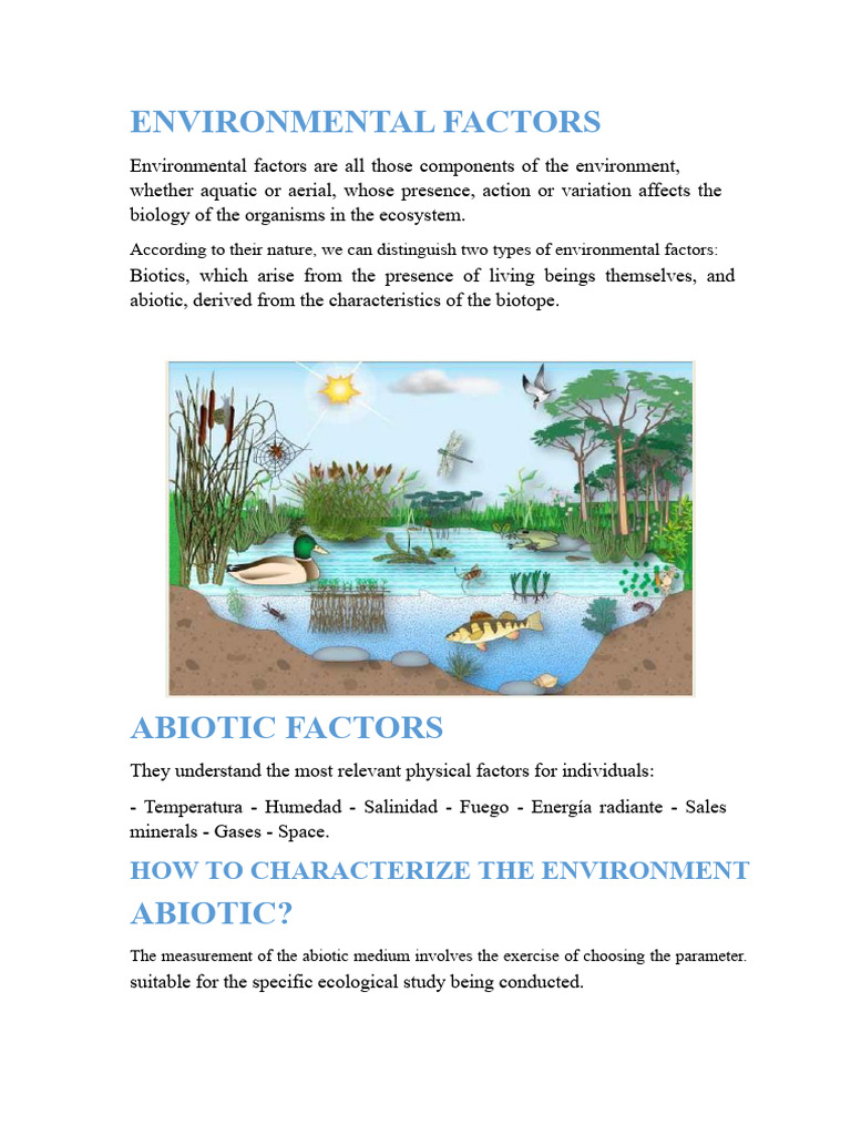ENVIRONMENTAL FACTORS.docx | PDF