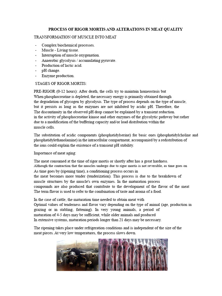 The Process of Rigor Mortis and Changes in Meat Quality | PDF ...