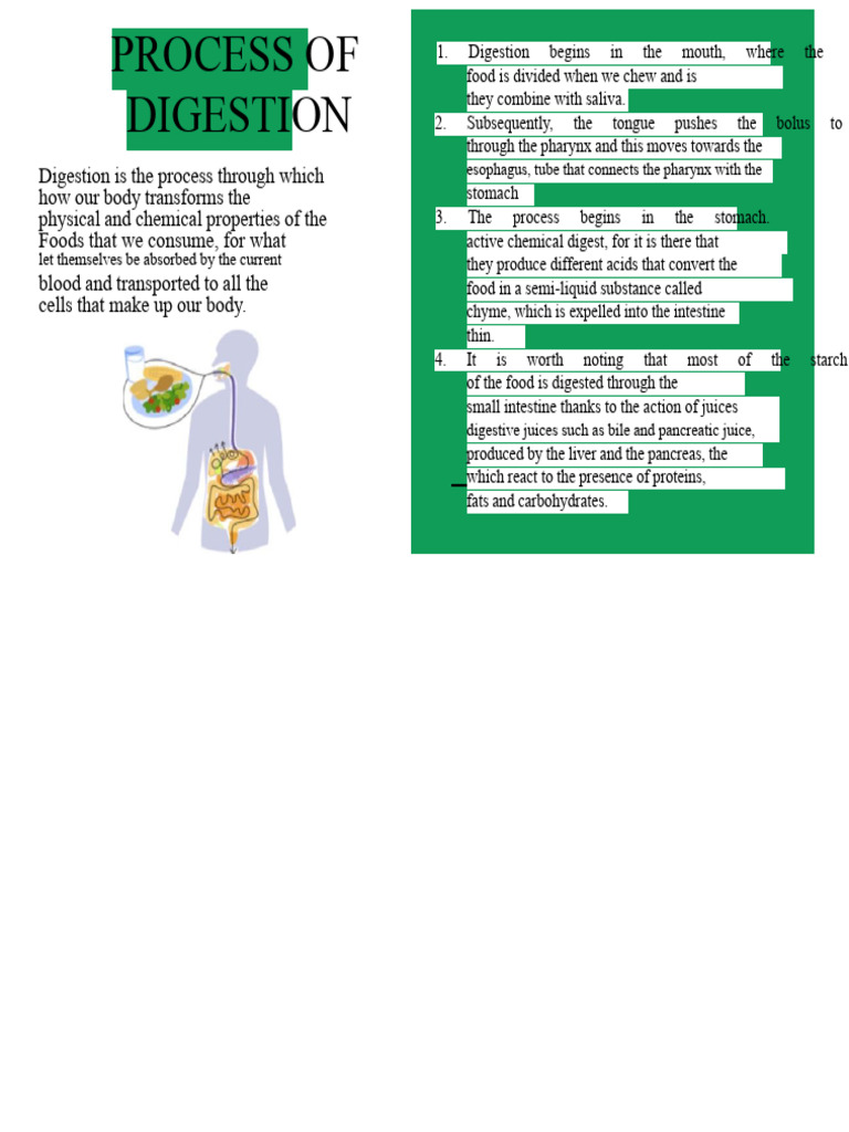 Digestion and absorption of nutrients | PDF | Digestion | Small Intestine