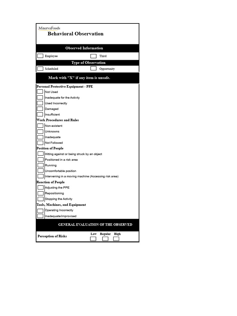 Employee Safety Observation Report | PDF
