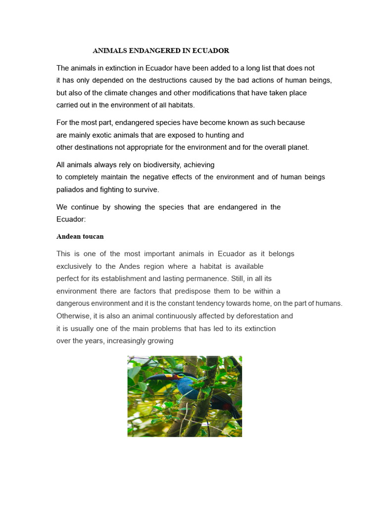 Endangered Animals in Ecuador | PDF | Ecuador | Andes