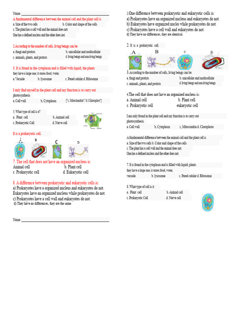 Evaluation of animal and plant cell | PDF | Cell (Biology) | Eukaryotes