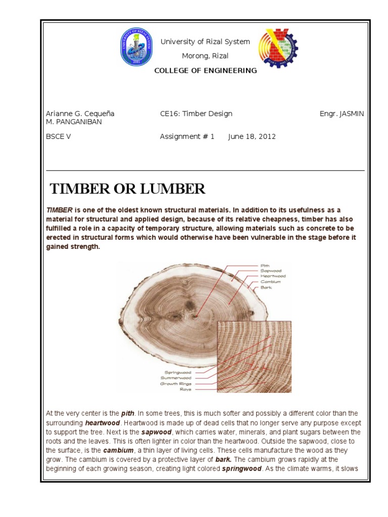 Timber or Lumber: University of Rizal System Morong, Rizal | PDF ...