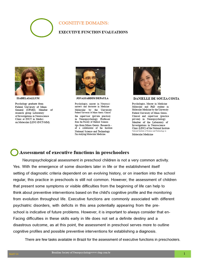 Evaluation of Executive Functions in Children and Adolescents | PDF ...