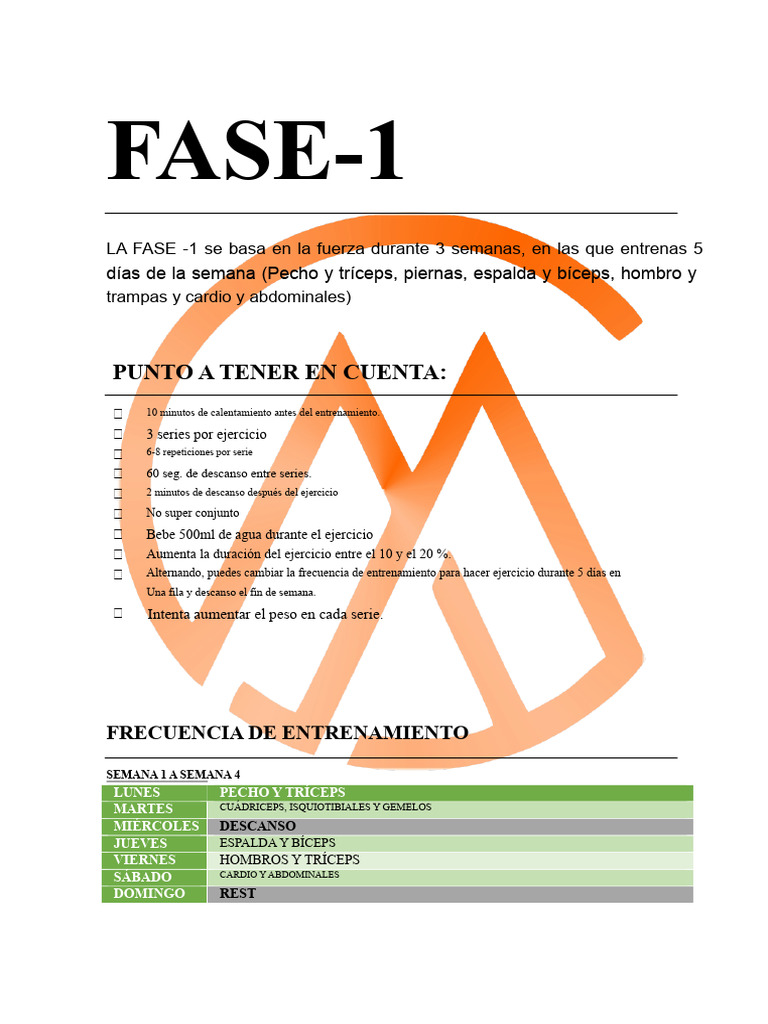 Programa de fuerza y resistencia de 6 semanas | PDF | Ejercicio físico ...