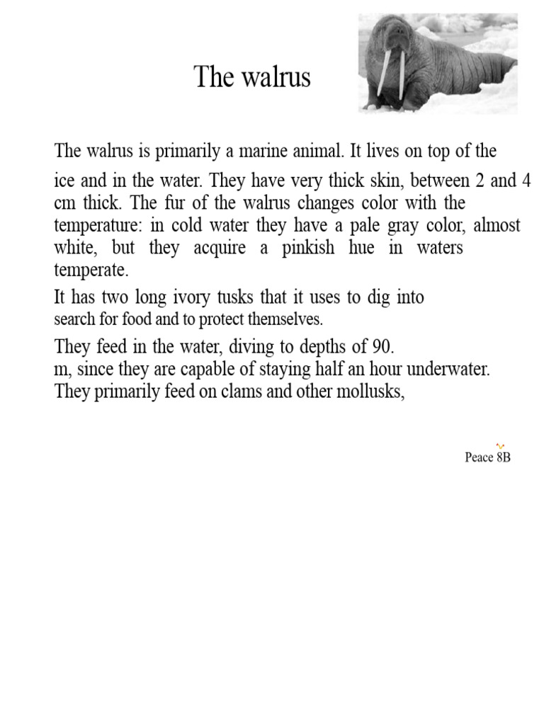 The Walrus With Planning | PDF
