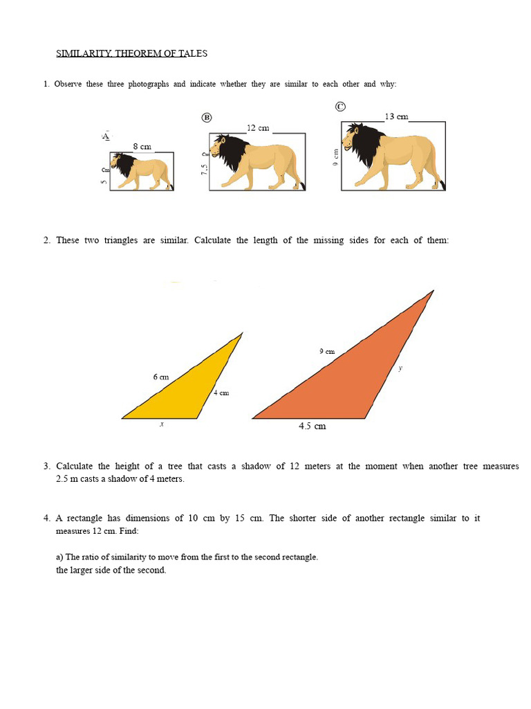 Mathematics Exercises Similarity | PDF