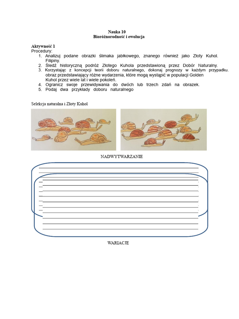 Nauka 10 Zajęcia Tygodnie 7 I 8 | PDF