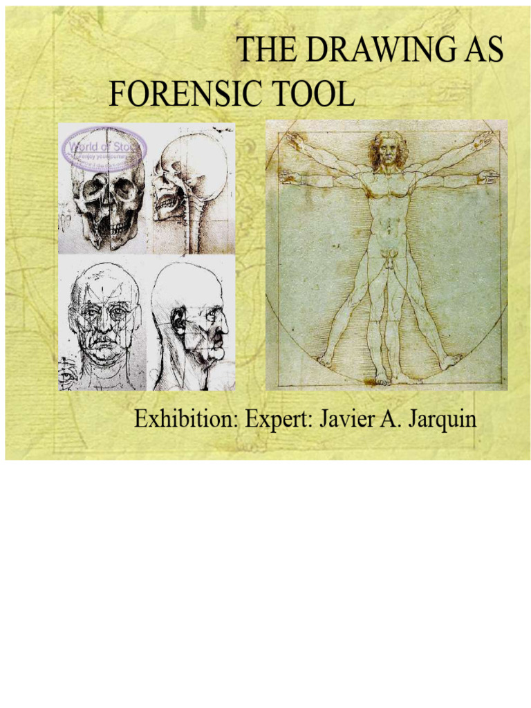 Forensic Drawing in Criminal Justice | PDF | Pixel | Drawing