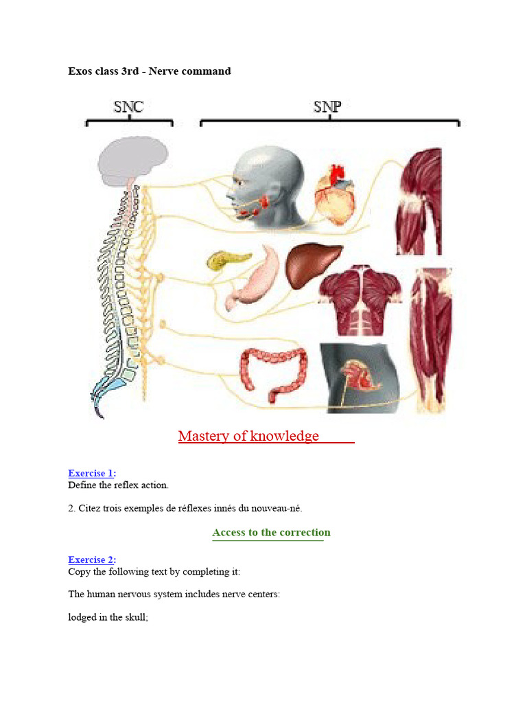 Exercises Science and Life of The Earth 3rd Grade S.N | PDF | Central ...