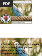 Tabela de Anilhas FOB 2025 | PDF | Aves | Ornitologia