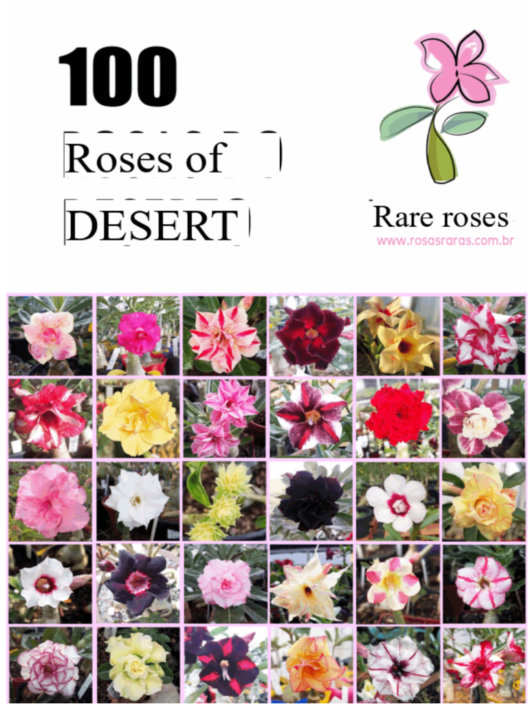 Desert Rose Catalog | PDF | Rose | Color