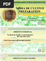 LRQA_NERS_Requisitos_Documento_V8.1_Final_para_Issuance_Novembro_2021 ...