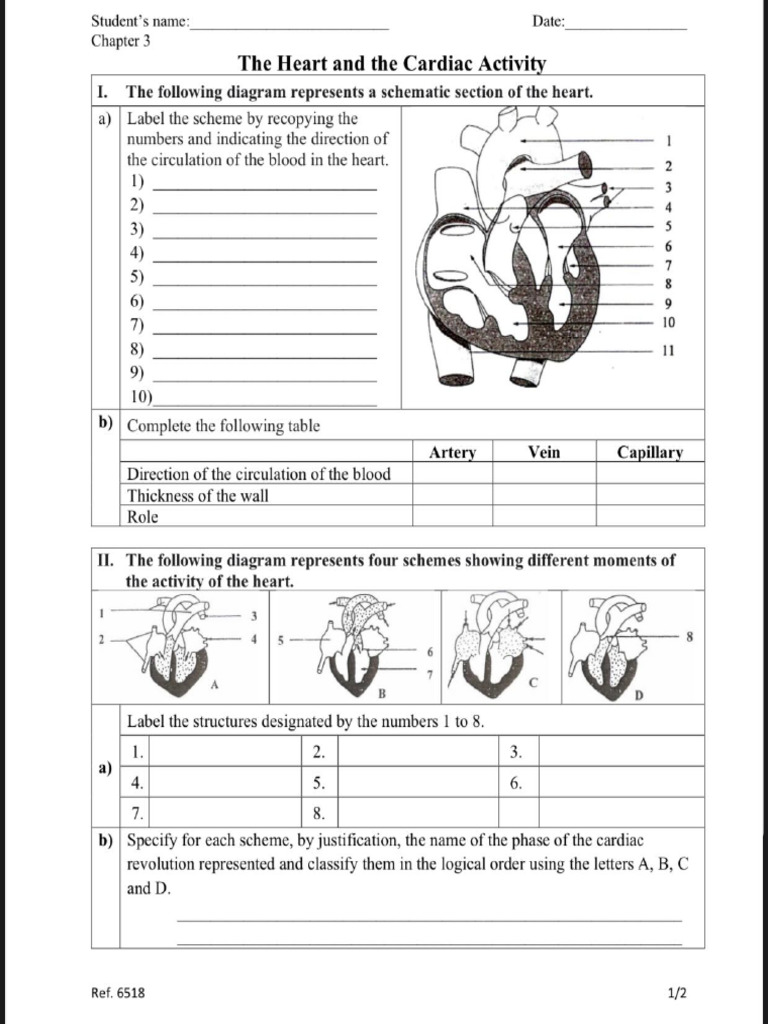 Grade 9 Heart | PDF