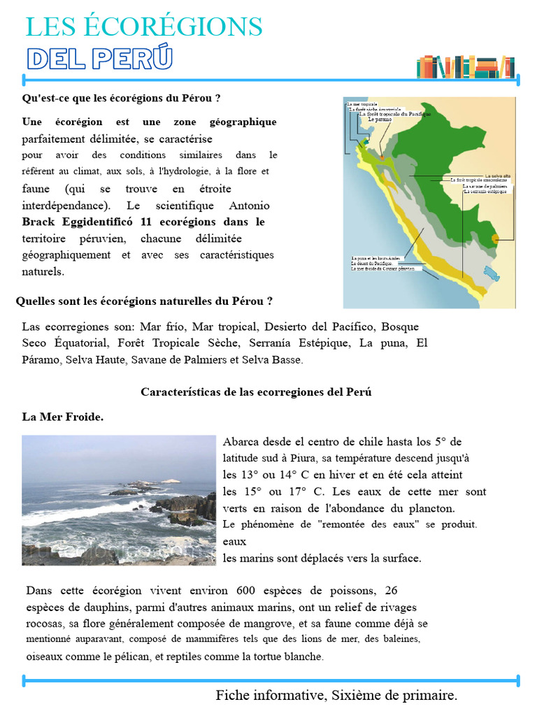 Écorégions du Pérou : caractéristiques clés | PDF | Climat | Pérou