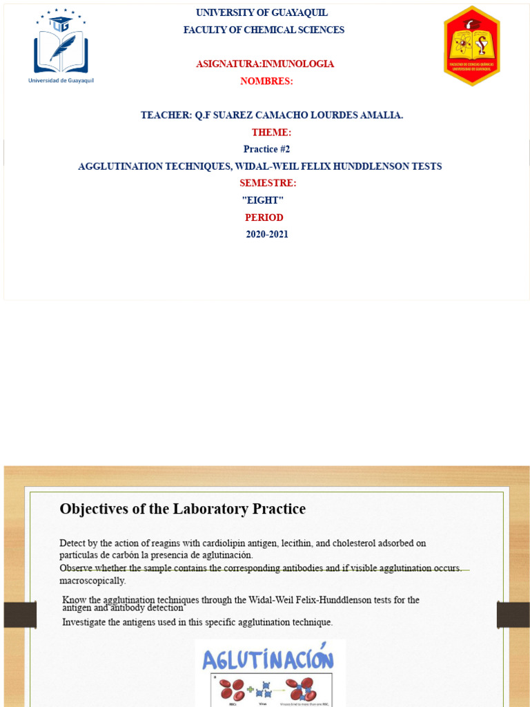 Agglutination Techniques, Widal-Weil Felix Hundblenson Tests | PDF ...