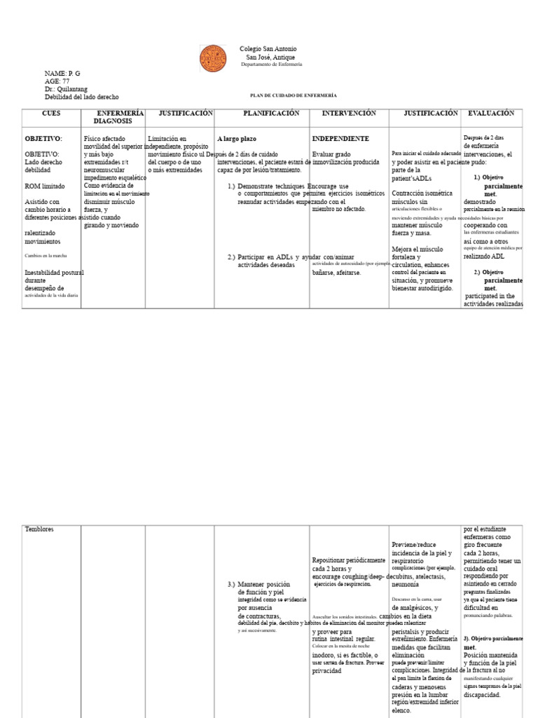 Icu NCP | PDF | Carrera | Enfermería