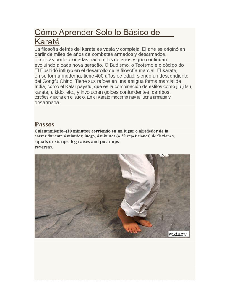 Cómo Aprender Solo Lo Básico Del Karate | PDF | Kárate | Kata