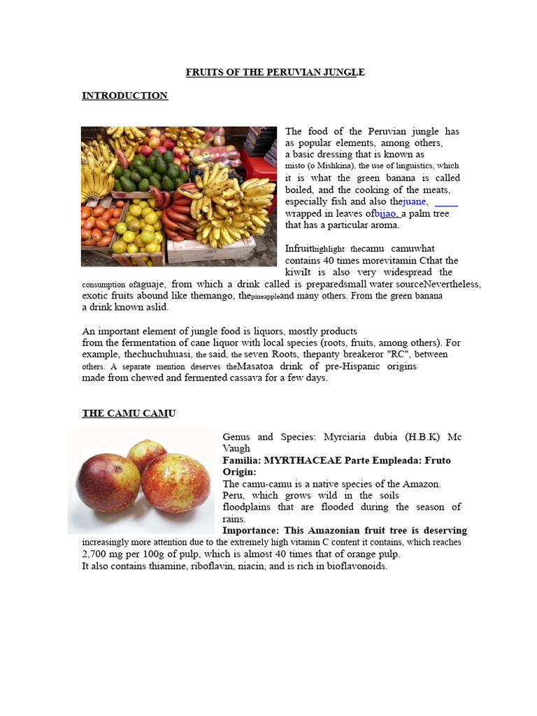 Peruvian Jungle Fruits and Benefits | PDF | Orange (Fruit) | Drink