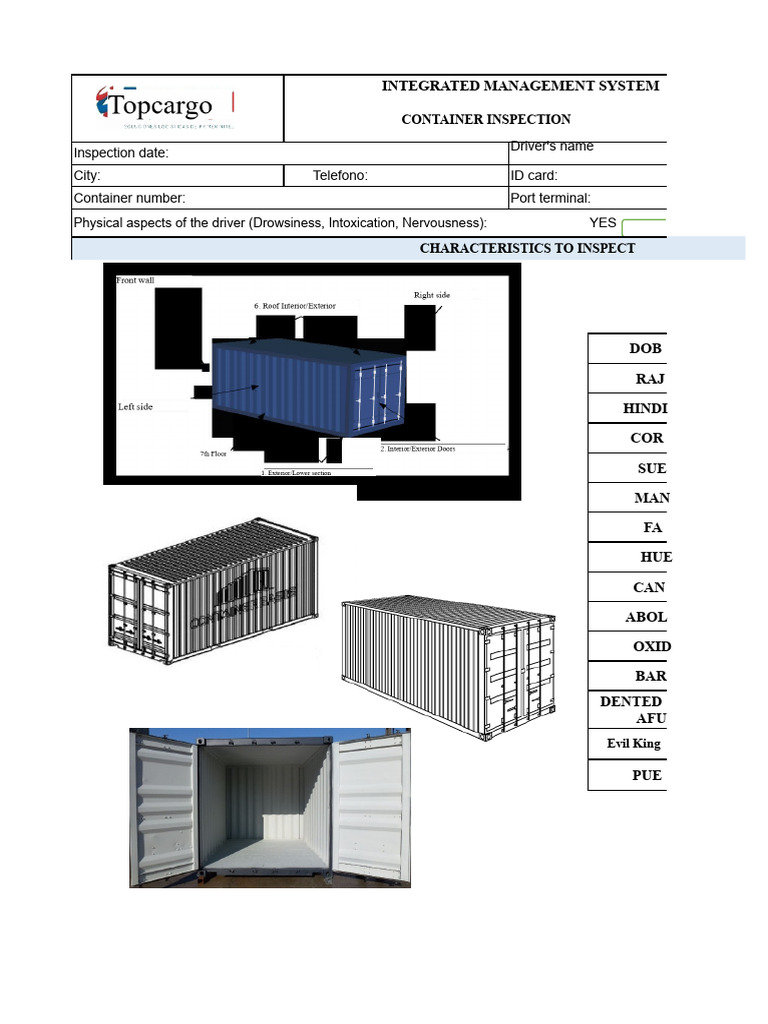 container inspection format | PDF