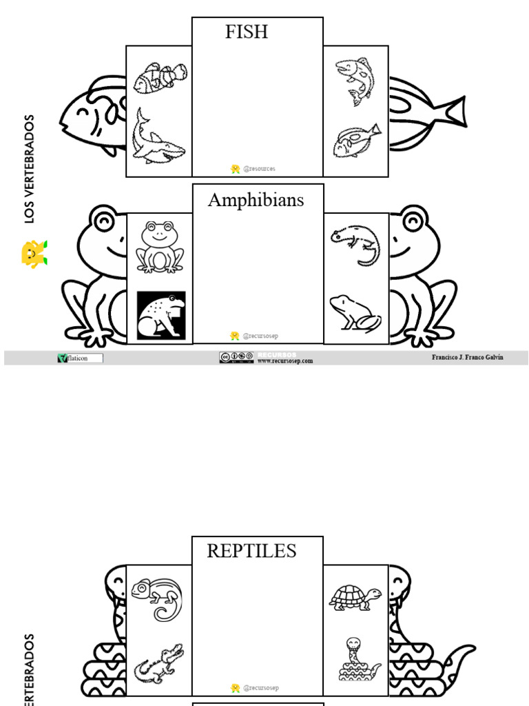 Vertebrate Animals - Folding Material - Resources by Mute | PDF