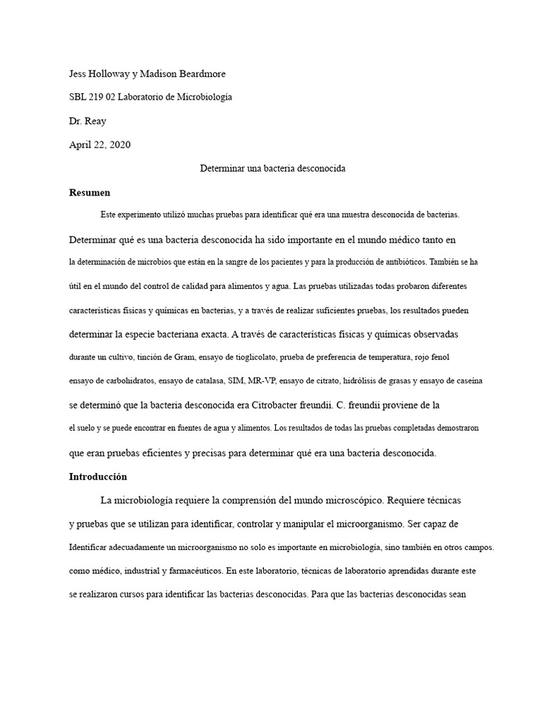 Identificación de Citrobacter freundii en Laboratorio | PDF | Las ...