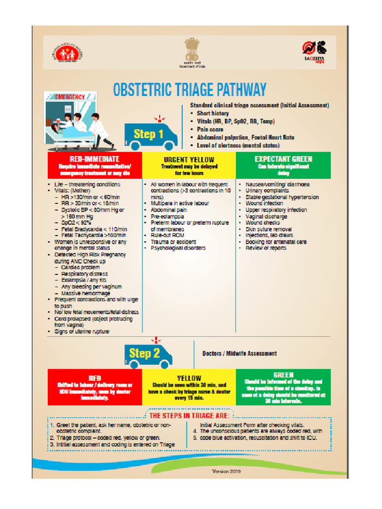 Triage Poster 2 | PDF