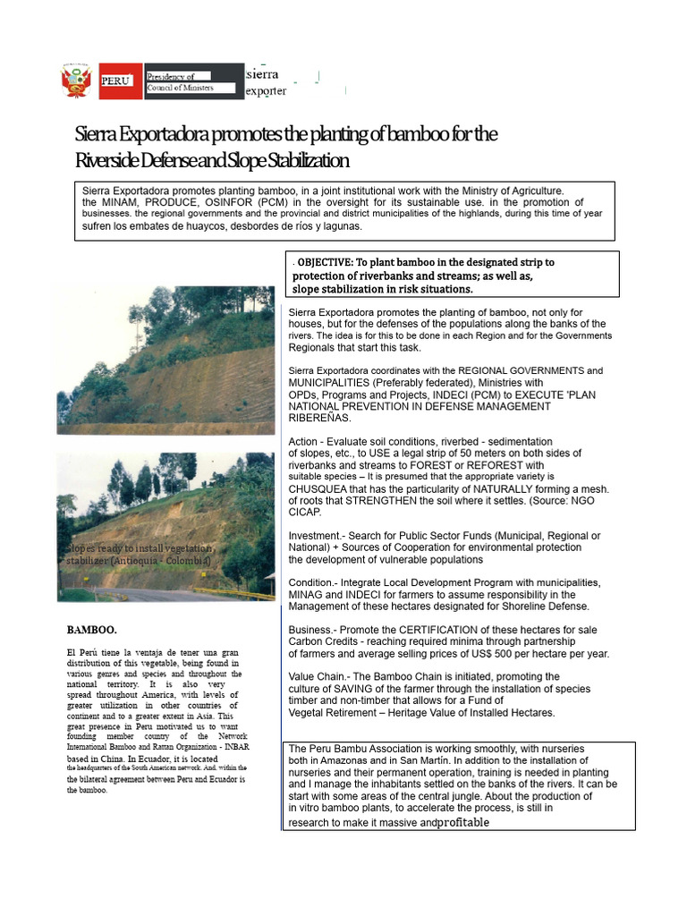 Bamboo planting for Riverbank Defense | PDF | Climate Change Mitigation ...