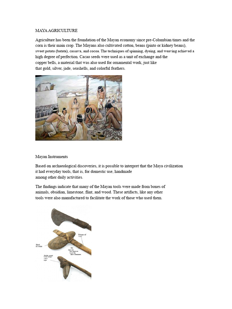 MAYA AGRICULTURE.docx | PDF | Maya Civilization | Cocoa Bean