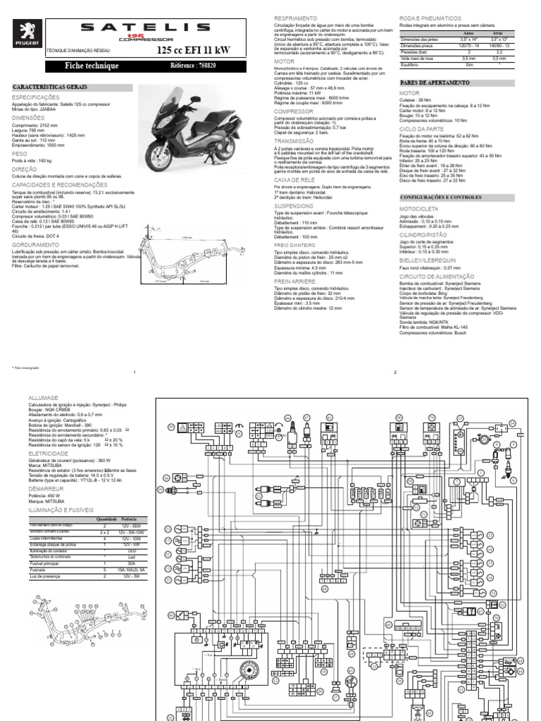 Especificações Técnicas do Motor Satelis 125 cc | PDF | Motores | Bomba