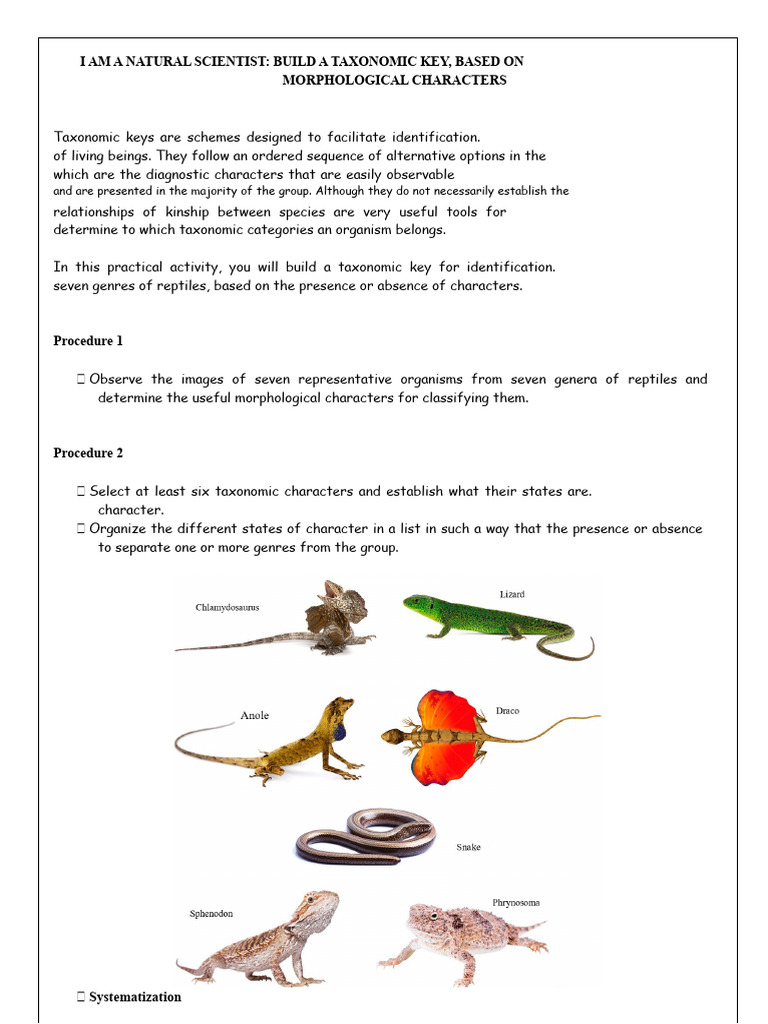 Build a Taxonomic Key for Reptiles | PDF | Taxonomy (Biology) | Skin