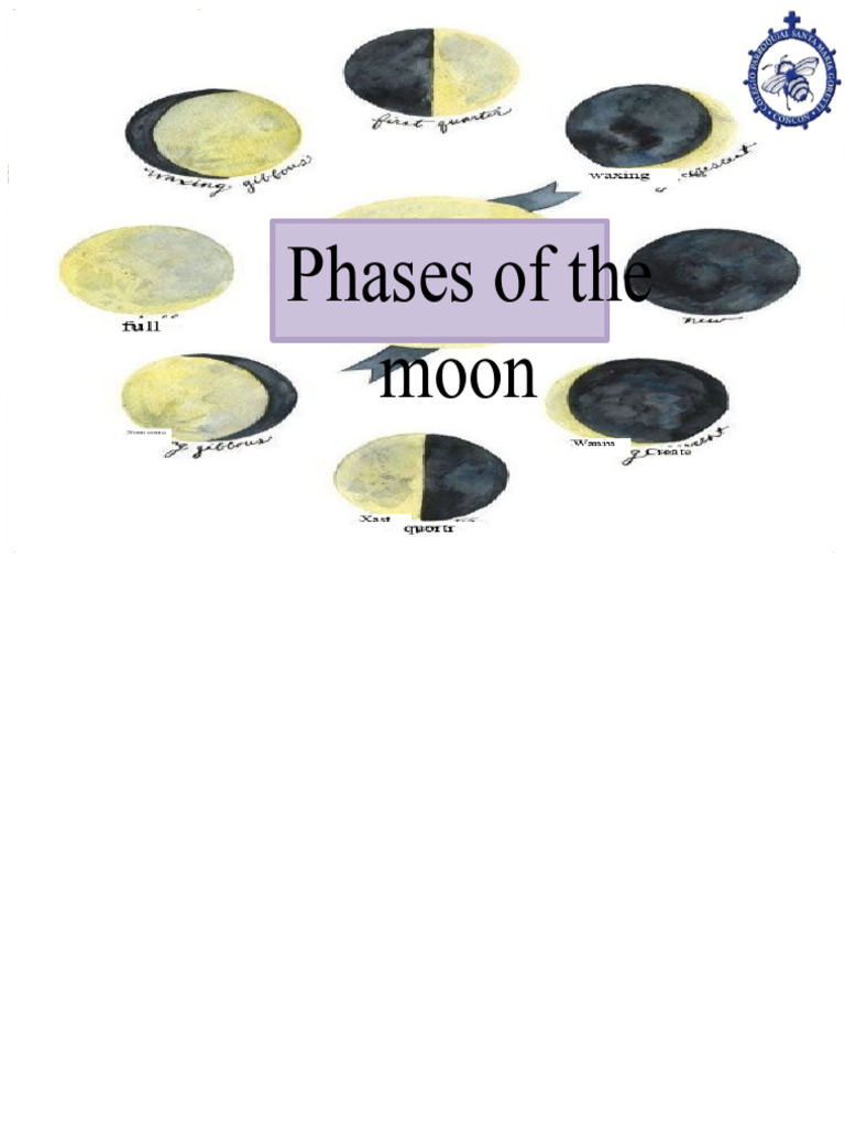 Understanding Moon Phases Explained | PDF | Moon | Planetary Science