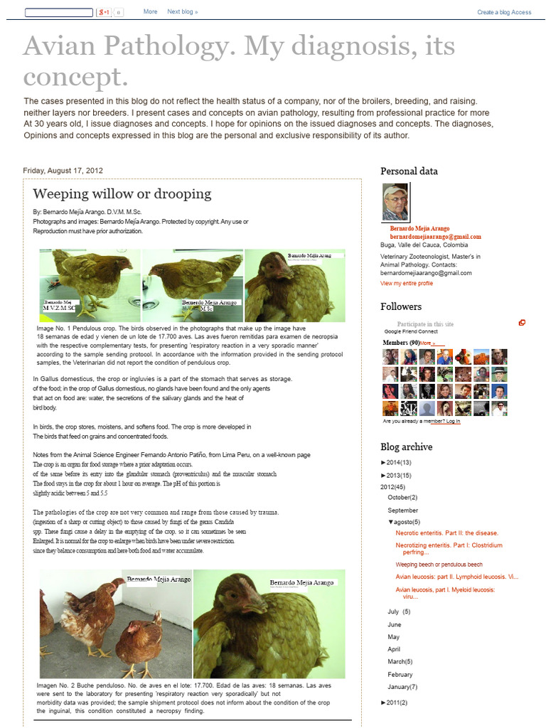 Avian Pathology. Pendulous crop | PDF | Stomach
