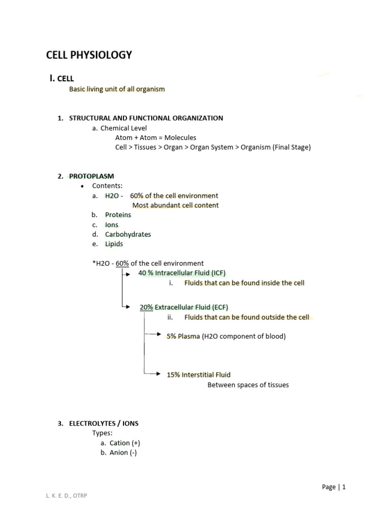 Cell Physiology: Structure and Function | PDF | Mitosis | Endoplasmic ...