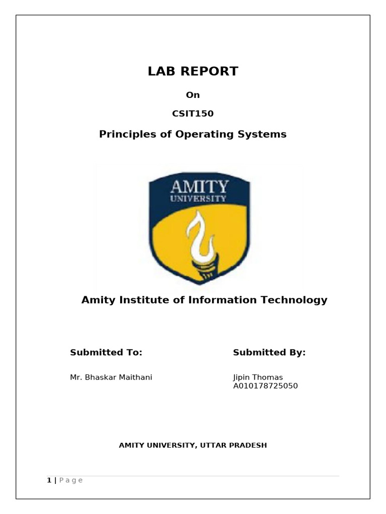 Lab Report | PDF | Computer File | Command Line Interface