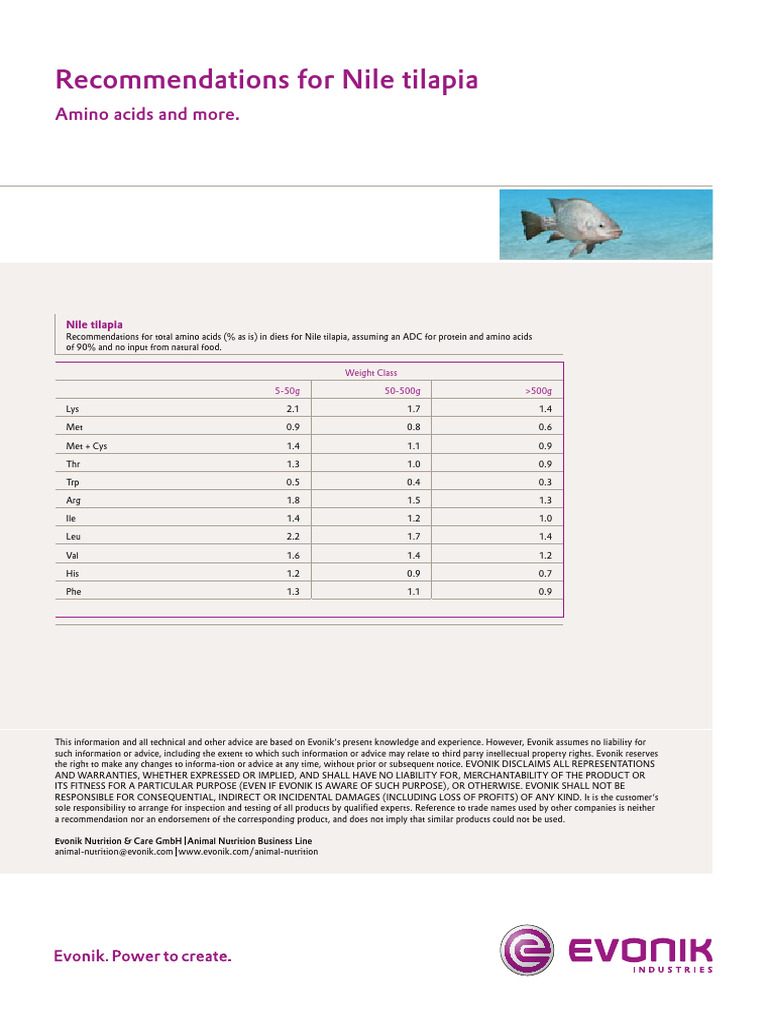 0431_15_Recommendations-Tables_Nile_tilapia | PDF | Amino Acid ...