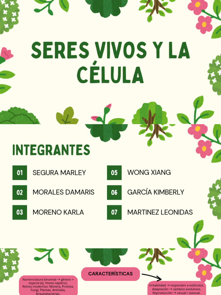 Ciencias Naturales, Mapa Mental | PDF