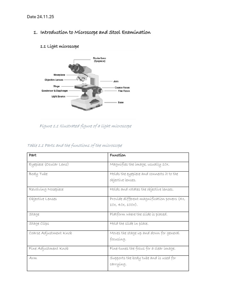 Microscope and Stool Examination Guide | PDF