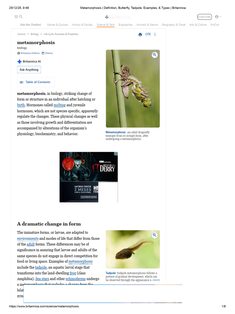 Understanding Metamorphosis in Biology | PDF | Insects | Zoology