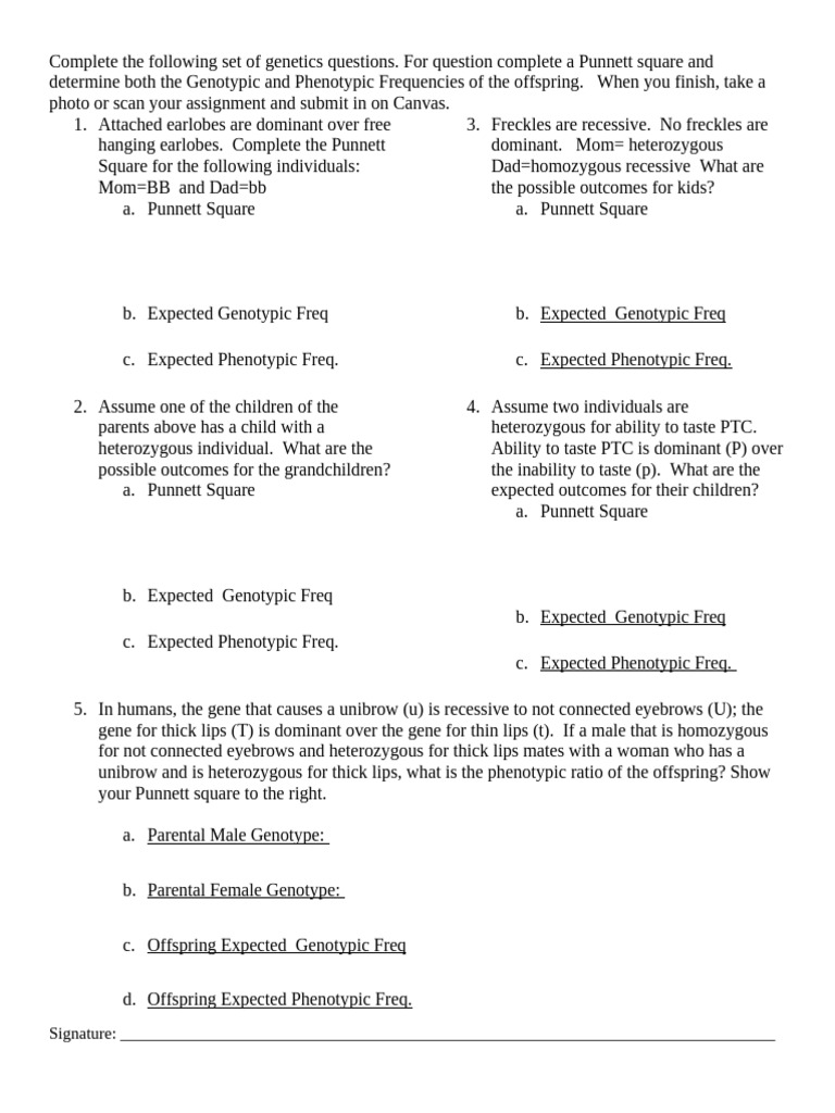 Genetics Punnett Square Assignment Guide | PDF