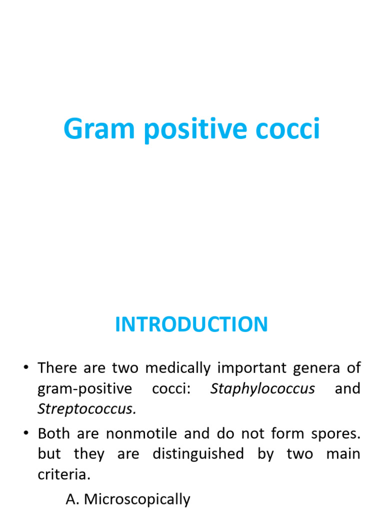 Overview of Gram-Positive Cocci | PDF | Staphylococcus | Staphylococcus ...