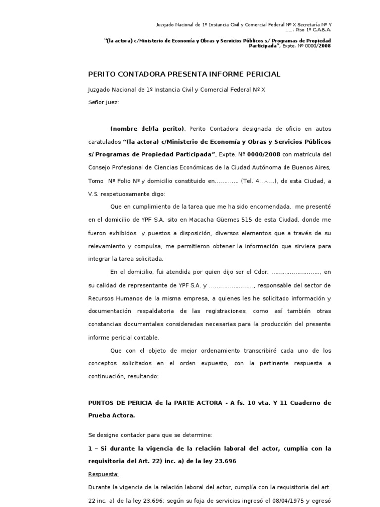 Modelo de Informe Pericial YPF Ministerio de Economia | PDF | Compartir ...