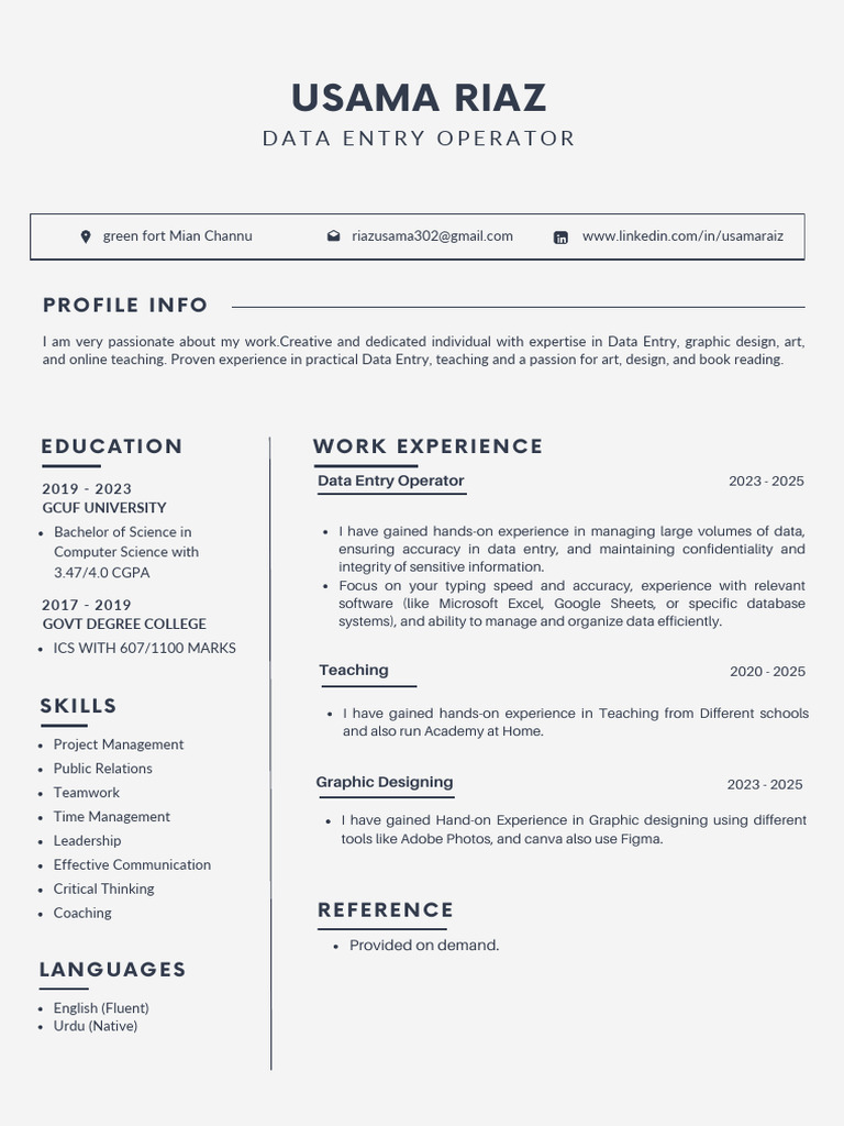 Data Entry Operator & Teaching Profile | PDF