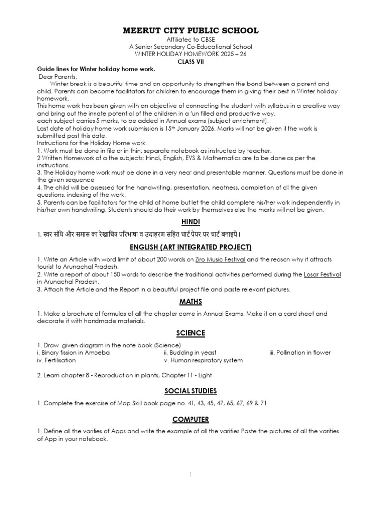 Class VII Winter Holiday Homework 2025-26 | PDF